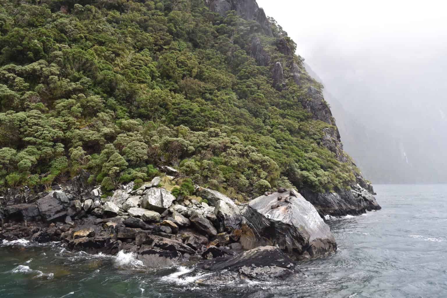 Queenstown Activities A Lovely Planet