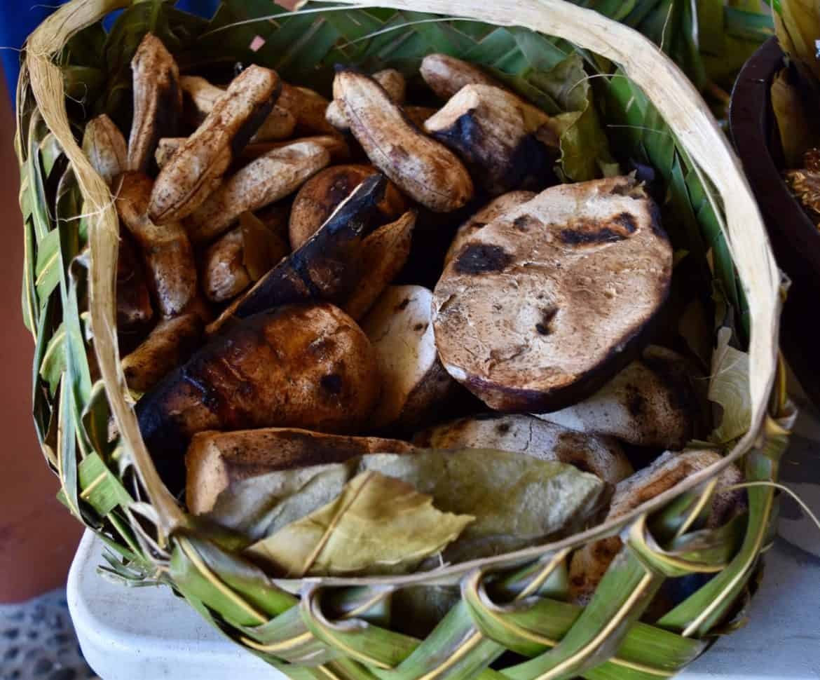 The Perfect 10 Day Samoa Itinerary