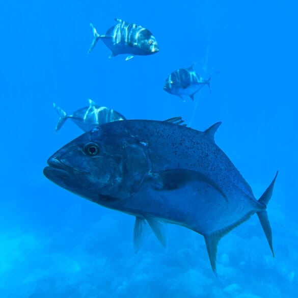 Sydney to Byron Bay Road Trip Itinerary